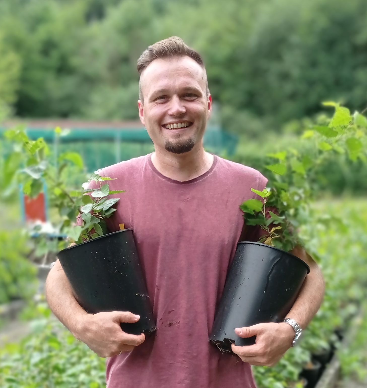 ECR feature: Robert Weigel on growth synchrony and climate change ...