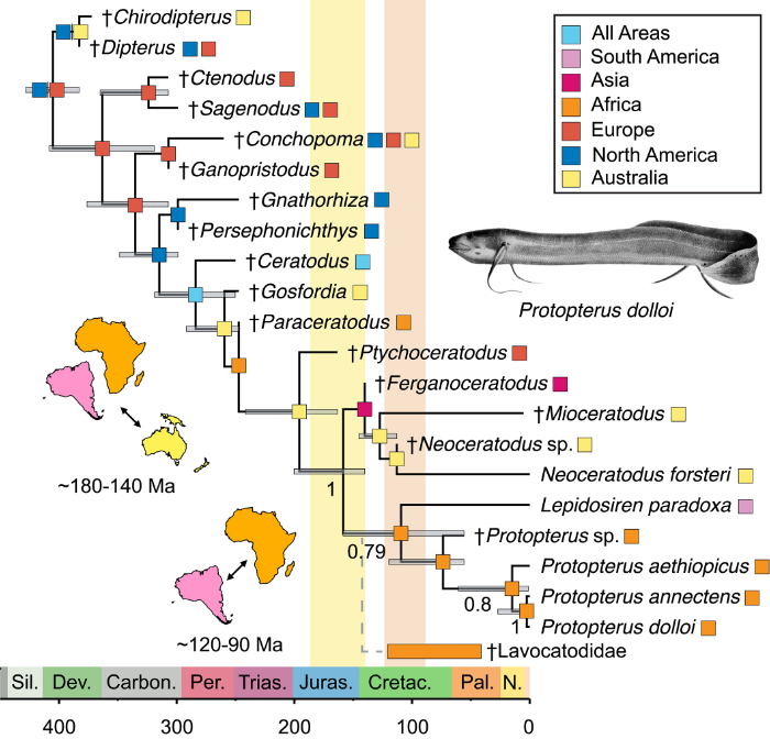 ECR feature: Chase Doran Brownstein – Biogeography.News