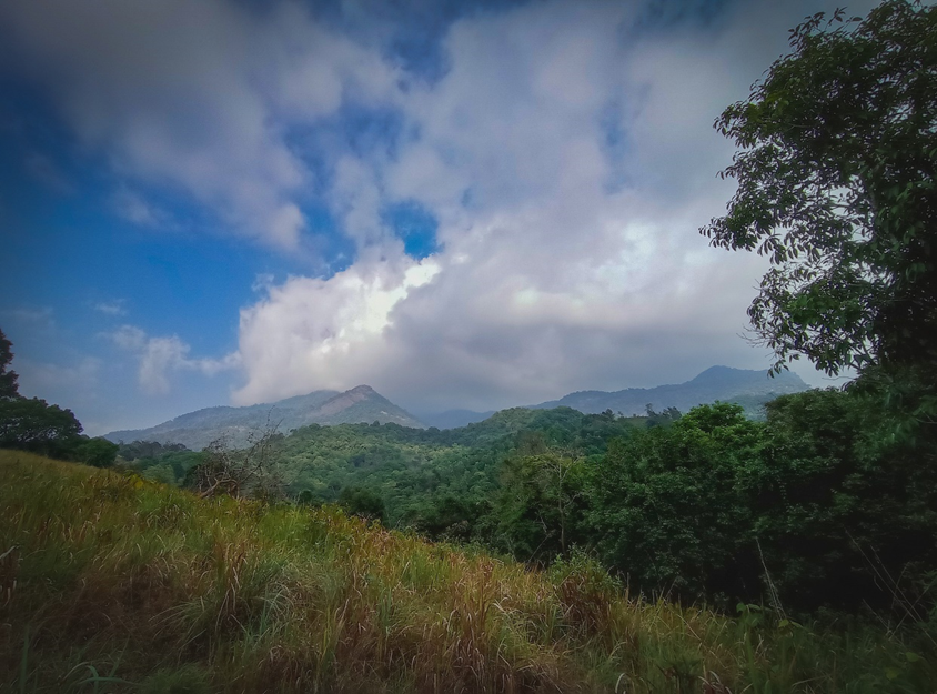 ECR feature: Aritra Biswas – Biogeography.News